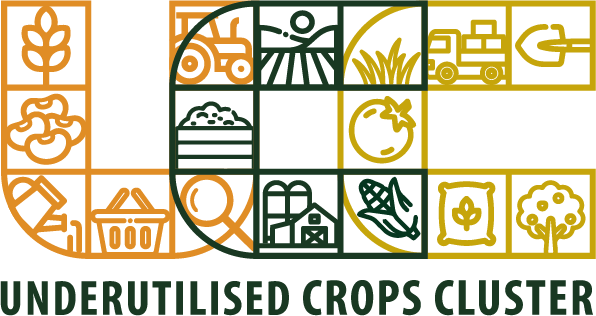 UC Cluster – Radiant Project